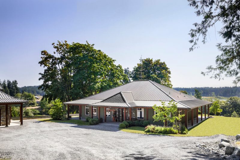 Koparanga - David Coulson Design